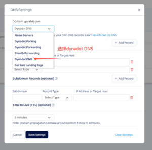 Dynadot域名解析新手教程|Dynadot域名如何解析到服务器？ | 大可建站
